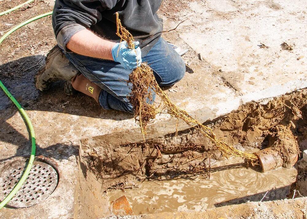 What's In Your Sewer? | Sewer Cleaning Company