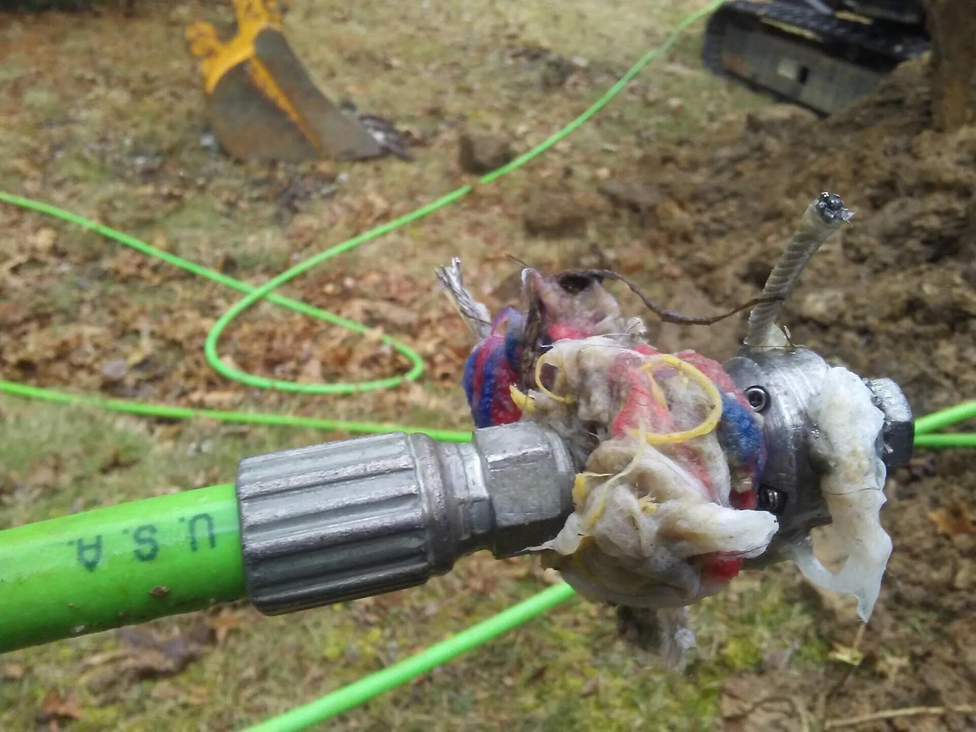 Sewer Line & Drain Cleaning | Sewer Cleaning Company